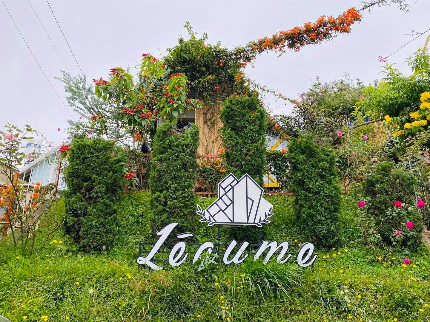 Đà Lạt: 10 homestay rẻ - đẹp - gần trung tâm